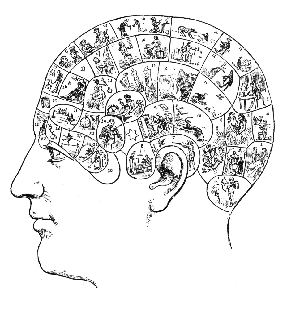 Phrenology, 19Th Century. /Na French Phrenological Chart, 19Th Century ...