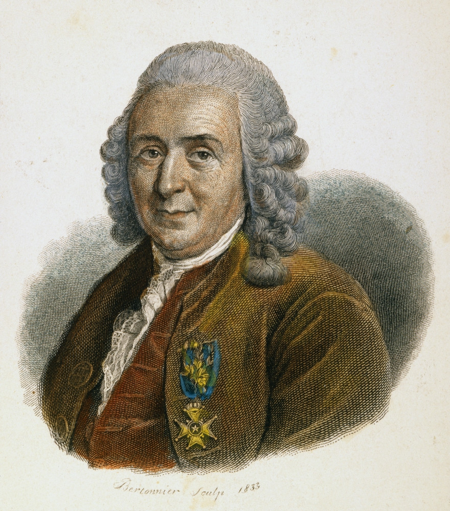 Carolus Linnaeus (1707-1778). /Nswedish Botanist. Steel Engraving ...