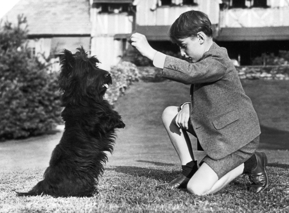 Fala & Prince, 1944. /Nfala, President Franklin Delano Roosevelt'S ...