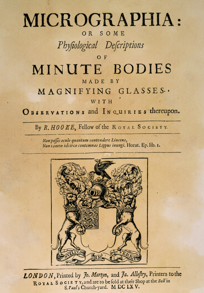 Micrographia Robert Hooke Micrographia | The Huntington