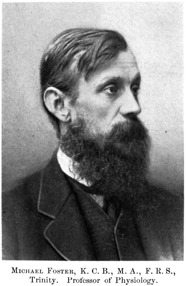 Michael Foster (1836-1907). /Nenglish Physiologist. Poster Print by ...