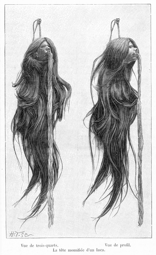 Shrunken Heads. /Nmummified Shrunken Head Trophies Made By Peruvian ...