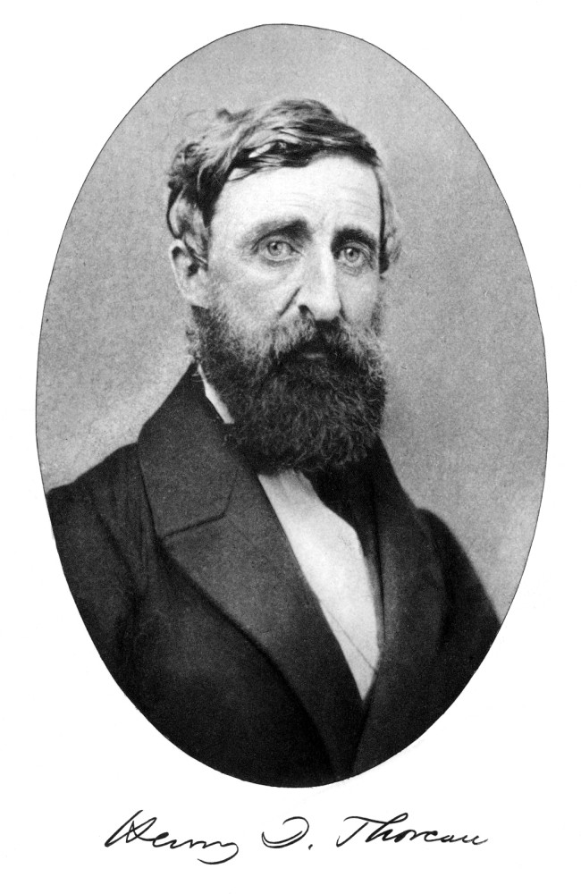 Henry David Thoreau/N(1817-1862). American Writer. Photographed In ...