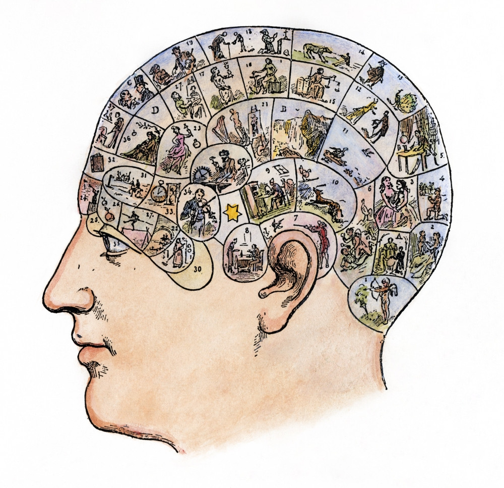 Phrenology, 19Th Century. /Na French Phrenological Chart, 19Th Century ...
