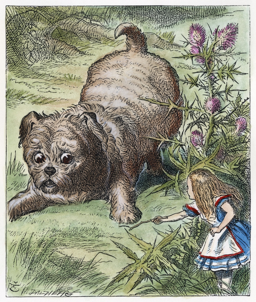 Carroll: Alice, 1865. /Nalice Encounters The Enormous Puppy. After The ...