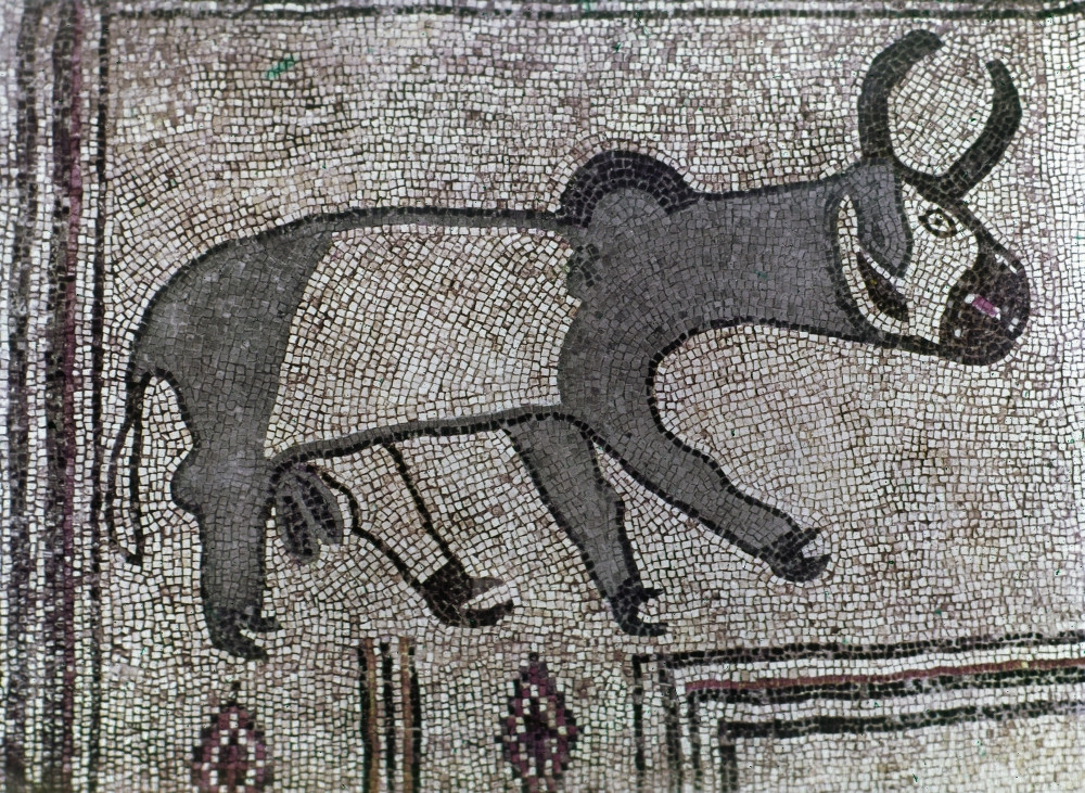 Synagogue, 6Th Century. /Nbull. Detail From The Pavement Mosaic Of The ...