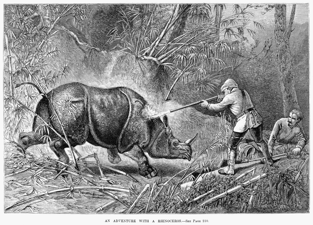 Rhinoceros Hunt, 1889. /Nhunting Rhinoceros In Annam, French Indochina ...