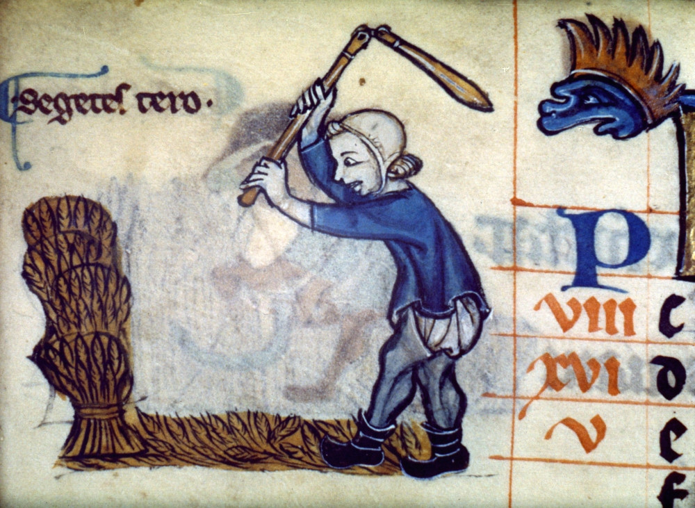 England: Threshing Wheat. /Nthreshing Wheat With A Flail. English ...