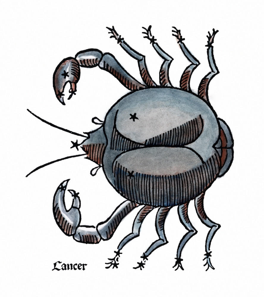 Zodiac: Cancer, 1482. /Ncancer, The Crab. Zodiacal Woodcut From Gaius ...