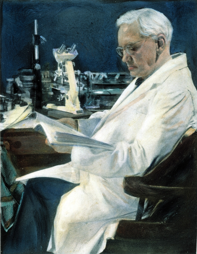 Sir Alexander Fleming /N(1881-1955) In His Last Laboratory At The ...