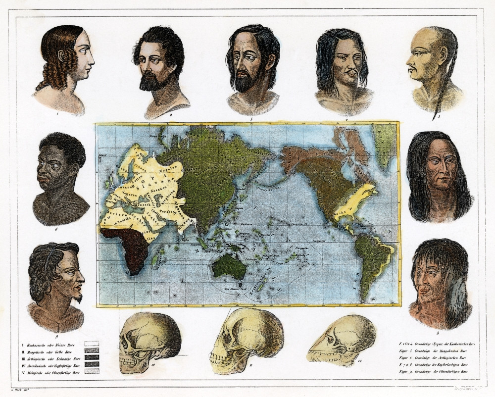 Racial Types, 19Th Century. /Ngerman Study Of Racial Types, Based On ...