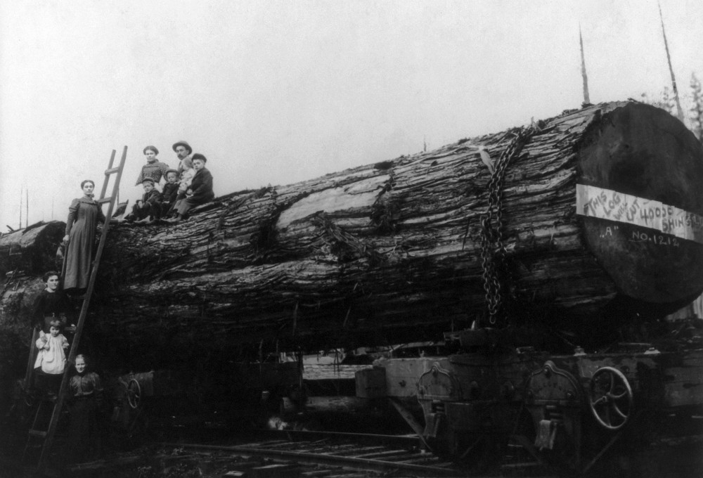 Lumberjack Family, C1899. /Na Family Of Lumberjacks Posing With ...