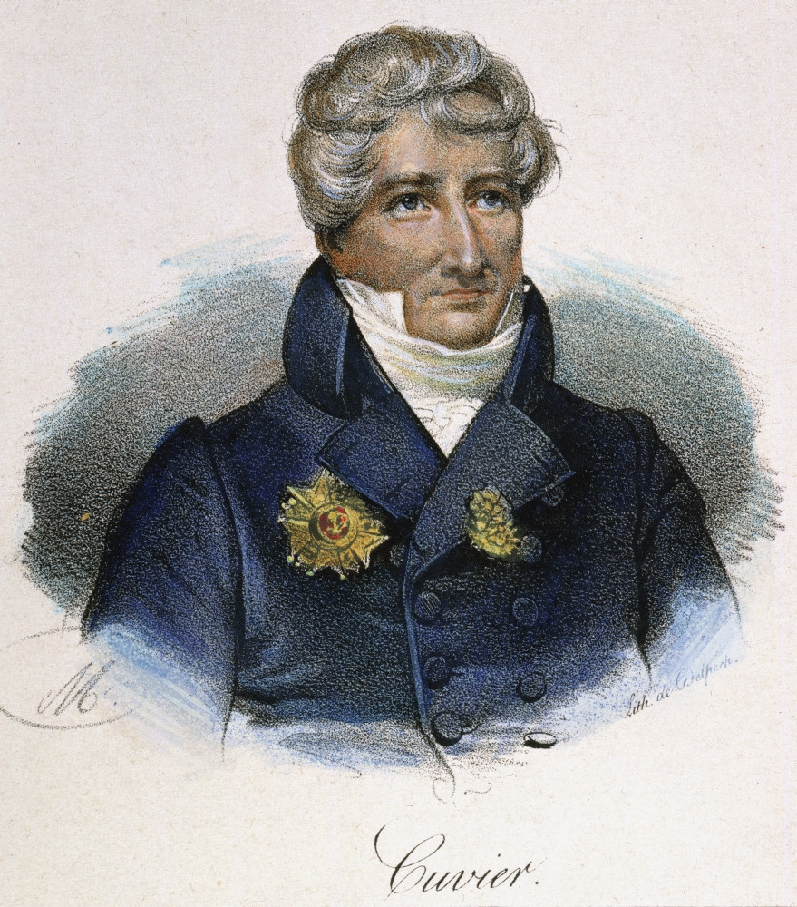 Georges Cuvier (1769-1832). /Nfrench Naturalist And Zoologist ...