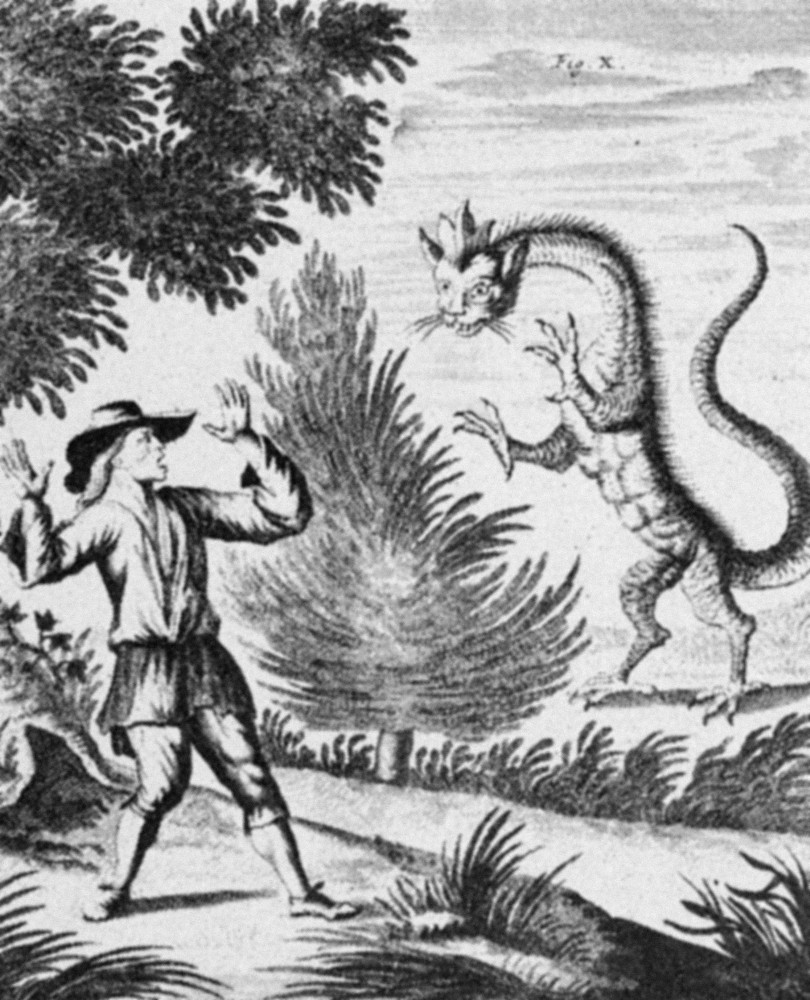Alpine Dragon, 1723. /Na Traveller Encounters A Dragon In The Swiss ...