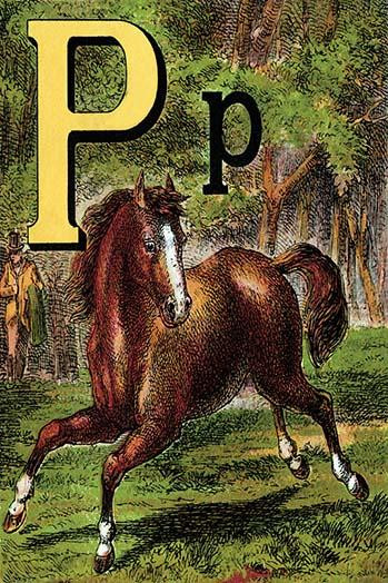 Illustrated Letter from "The Nursery Alphabet" Poster Print by Edmund ...