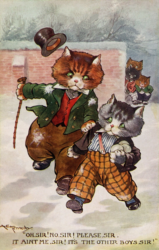 Oh Really Cat Poster
