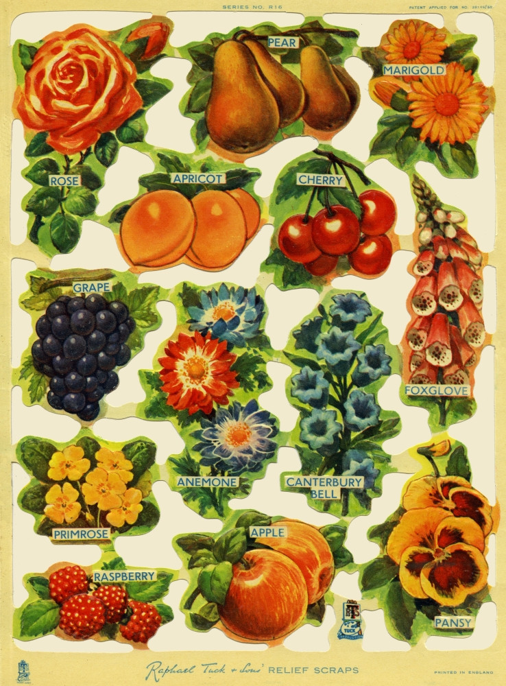 Fruit Scraps Poster Print By Mary Evans Picture Library/Peter & Dawn ...