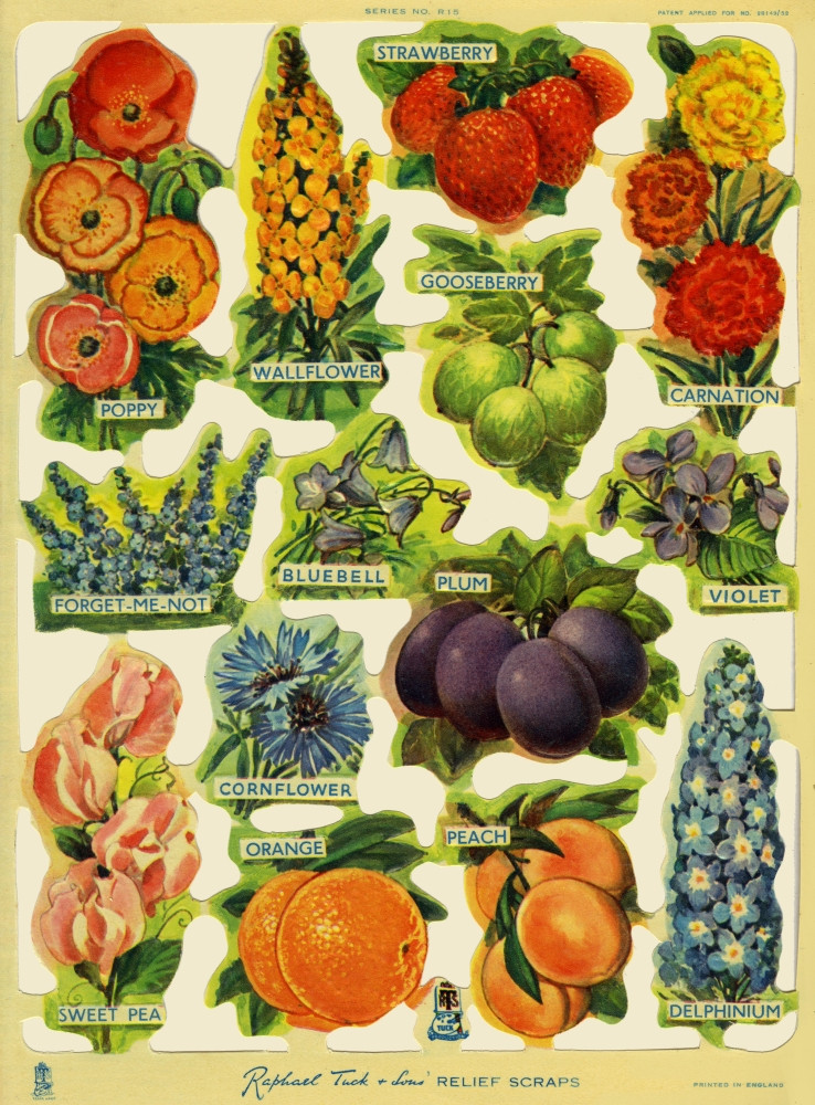 Fruit Scraps Poster Print By Mary Evans Picture Library/Peter & Dawn ...