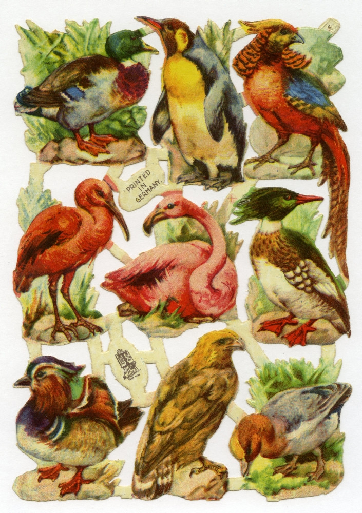 Raphael Tuck Scraps Poster Print By Mary Evans / Peter And Dawn Cope ...