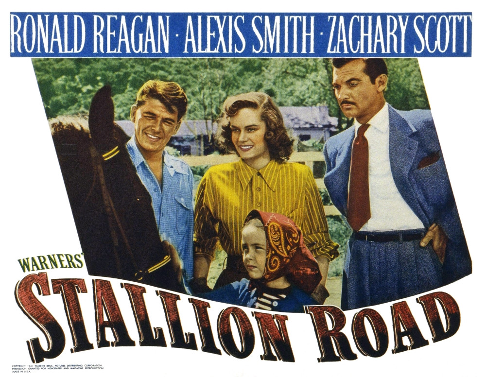 Stallion Road Still - Item # VAREVCMSDSTROEC010 - Posterazzi
