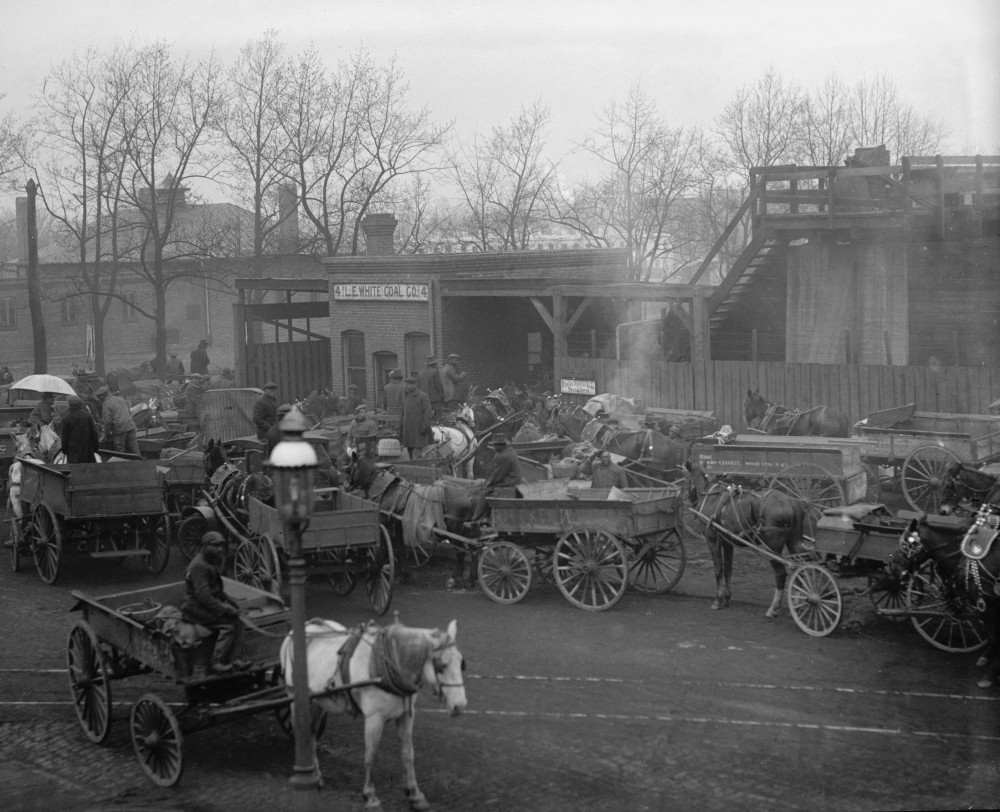 African American Teamsters Line Up With Their Wagons At The Washington ...
