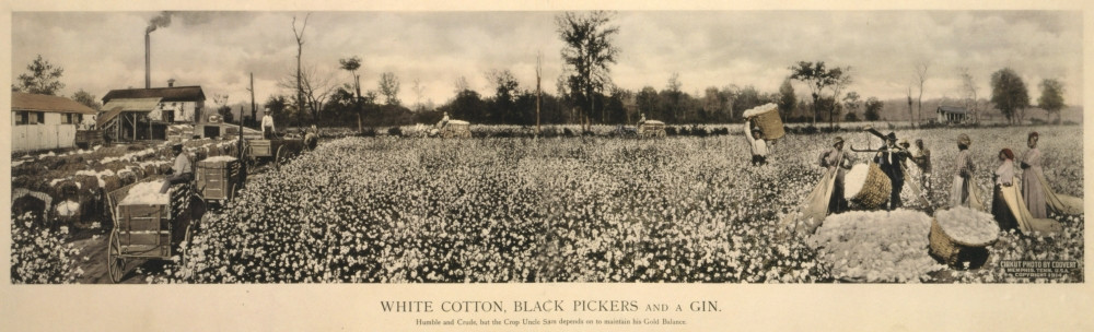 African Americans Working In A Cotton Field History - Item ...