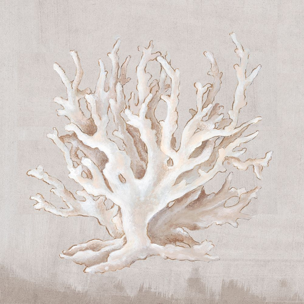 Neutral Shells IV Poster Print by Eva Watts - Item # VARPDXEW187A ...