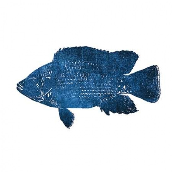 Navy Fish Poster Print by Victoria Brown - Item # VARPDXVBSQ055A ...