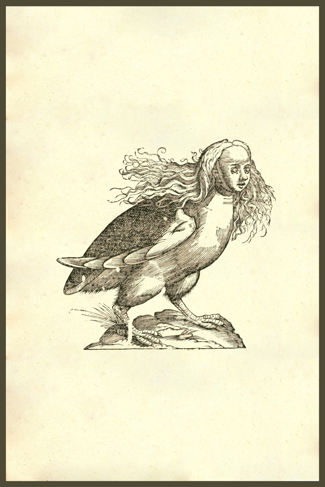 Greek Monsters Harpies