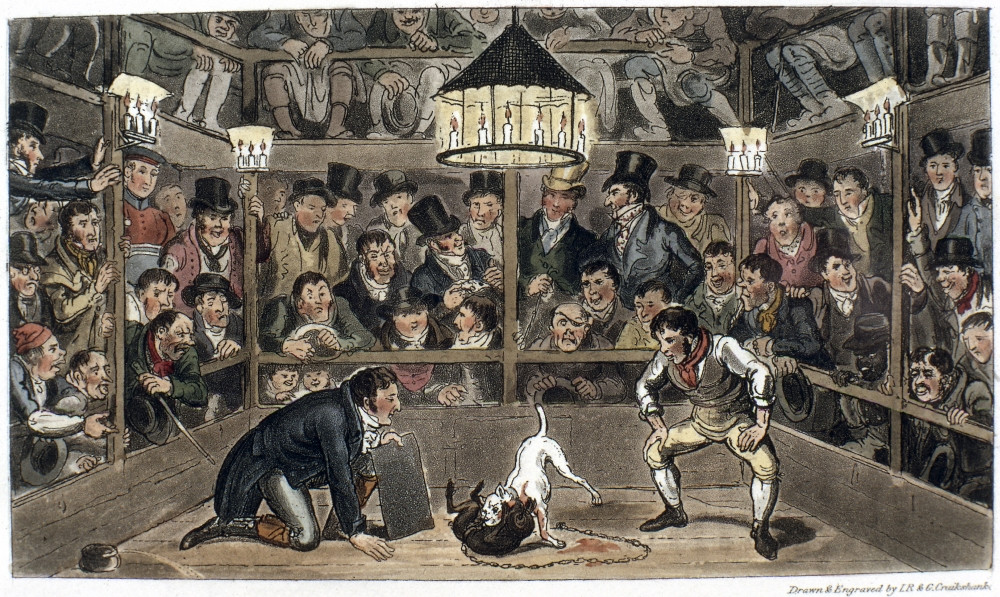 Monkey-Baiting, 1821. /N'Tom And Jerry Sporting Their Blunt On The ...