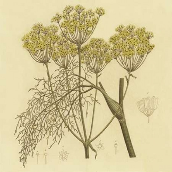Yellow Weeds Poster Print by PI Collection (24 x 24) - Item ...