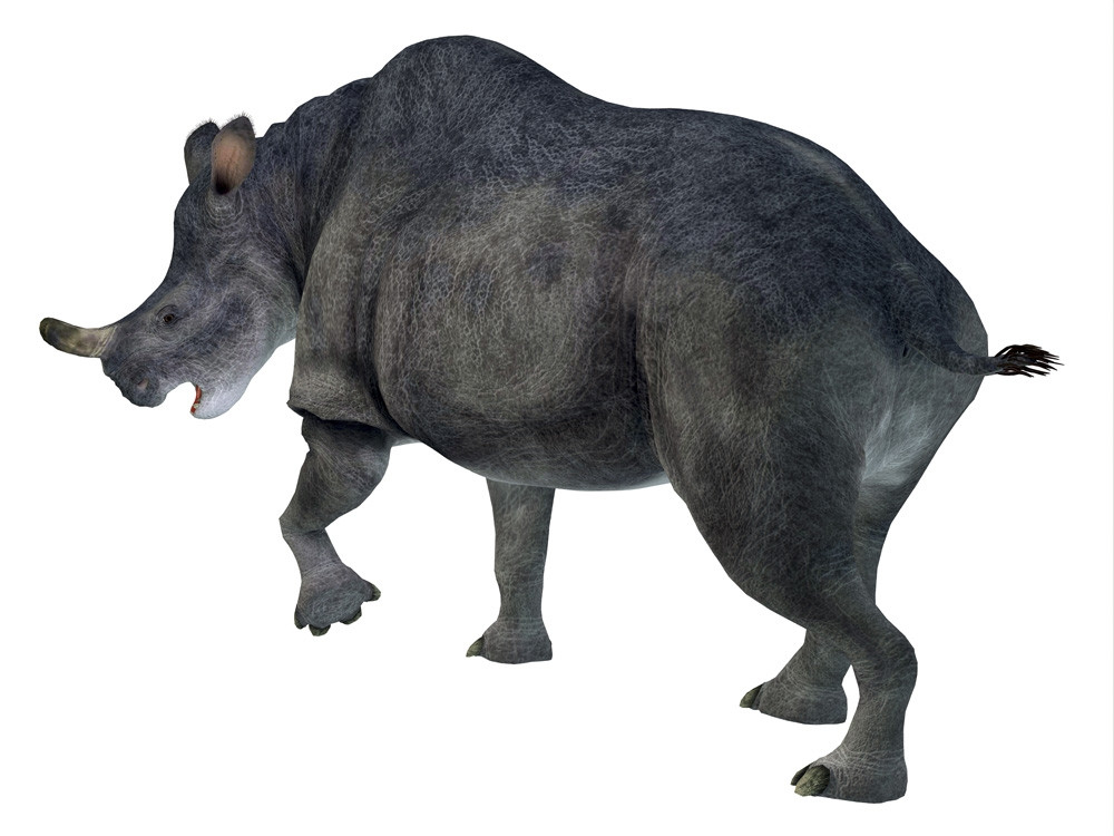 Brontotherium Size