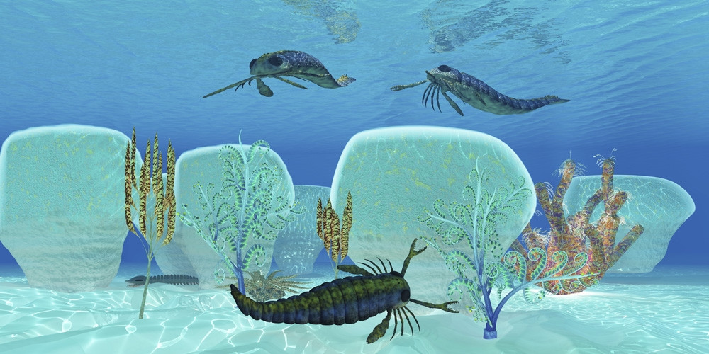 Pterygotus swimming in prehistoric waters. Poster Print by Corey Ford ...