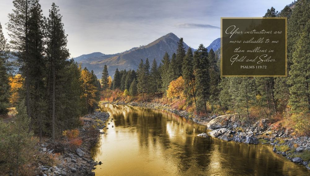 Landscapes With Scripture