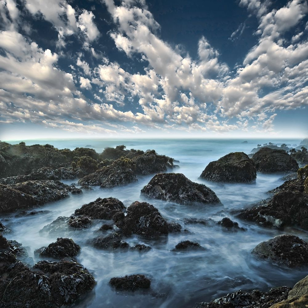 Ocean Seatide I, Color Poster Print by Anonymous Anonymous - Item ...