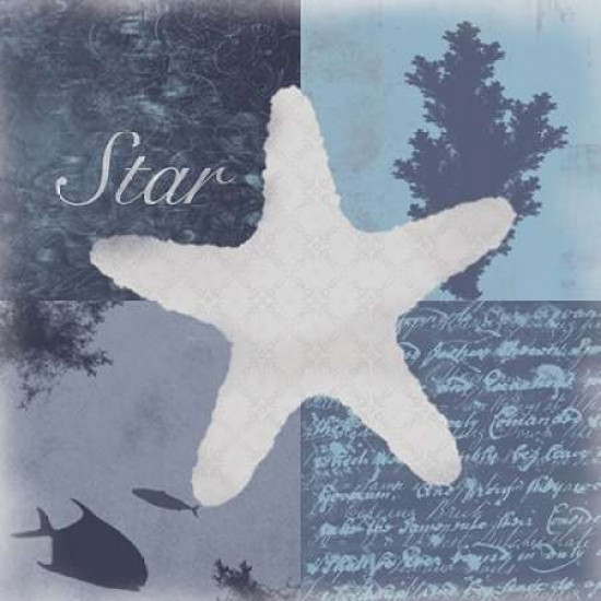 Beach Star Poster Print by Lauren Gibbons - Item # VARPDXGLSQ016C ...