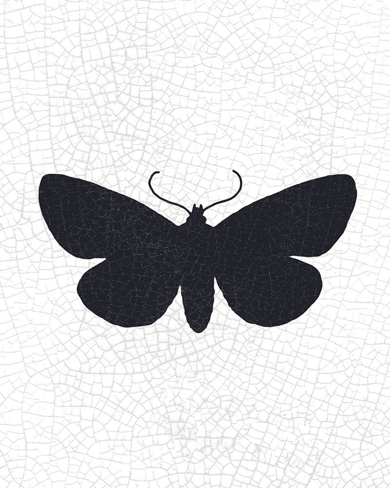 Crackle Wings 1 Poster Print by Allen Kimberly - Item # VARPDXKARC1240A ...