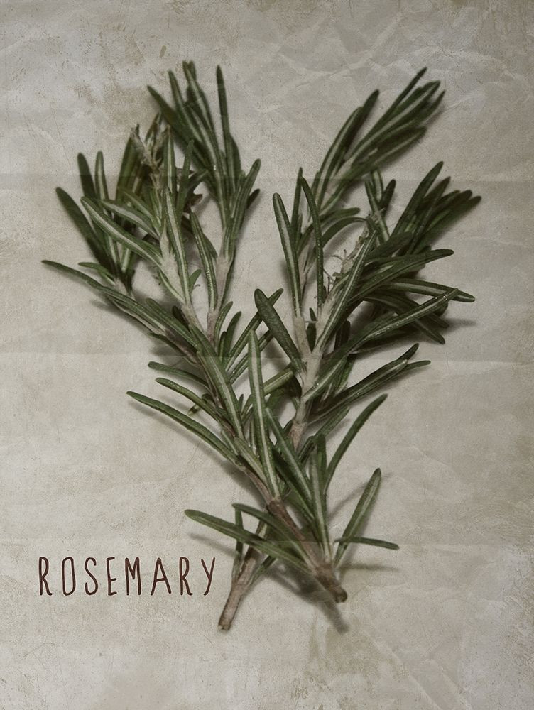 Time-Honored Rosemary 2 Poster Print by Marcus Prime - Item ...