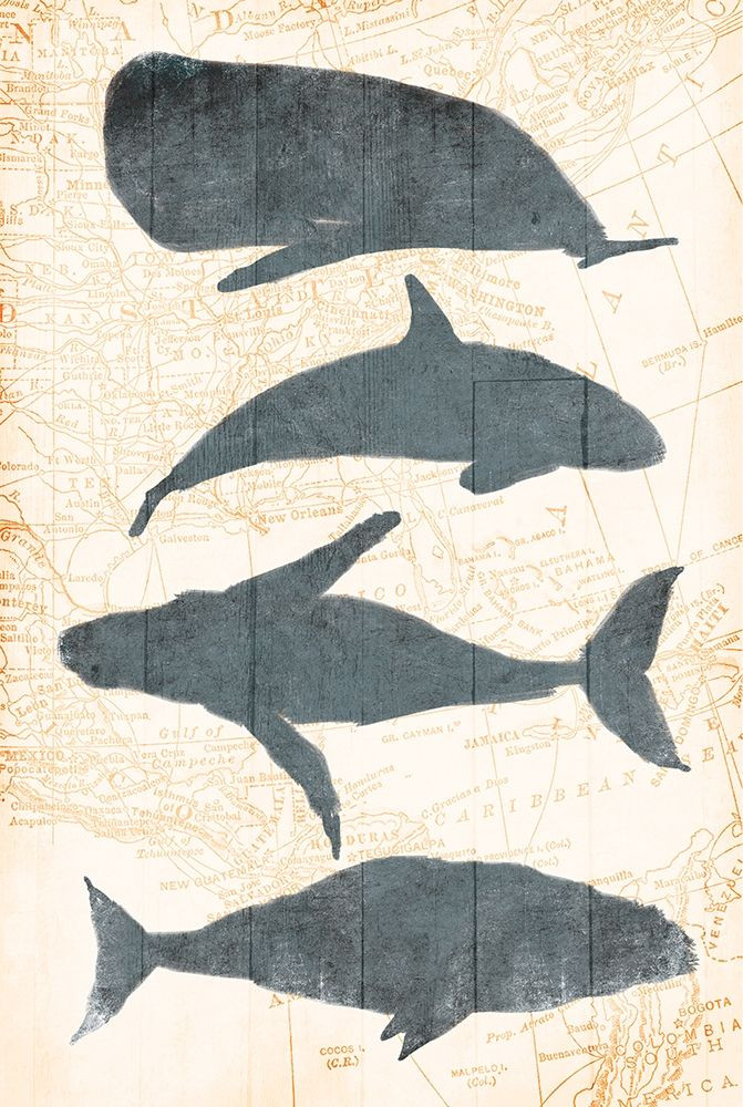 Whale Map Poster Print by OnRei OnRei - Item # VARPDXONRC178A - Posterazzi