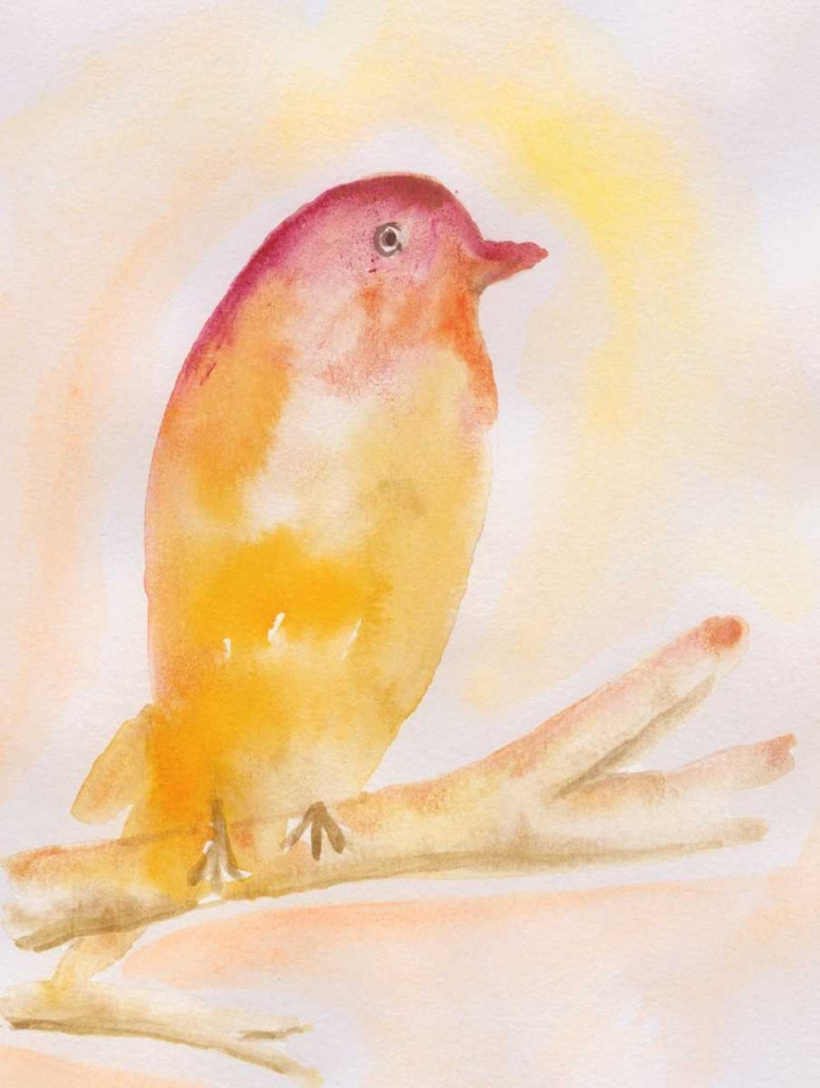 Western Tanager Poster Print by Pam Varacek - Item # VARPDXPVRC109A ...