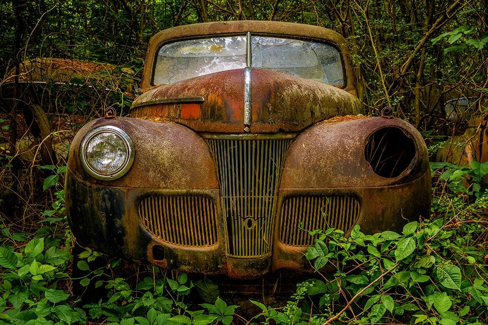 Old Bessy 1 Poster Print by Glenn Taylor - Item # VARPDXQGTRC174A ...