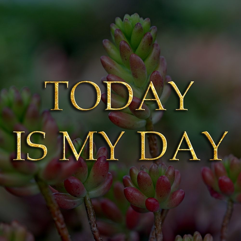 My Day Poster Print by Sheldon Lewis - Item # VARPDXSLBSQ638A - Posterazzi