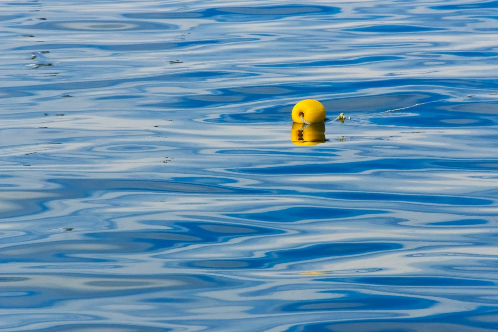 Floating buoy in the ocean, Van Dyks Bay. Western Cape Province, South ...