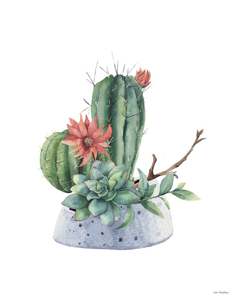 Watercolor Cactus Poster Print by Seven Trees Design Seven Trees Design ...