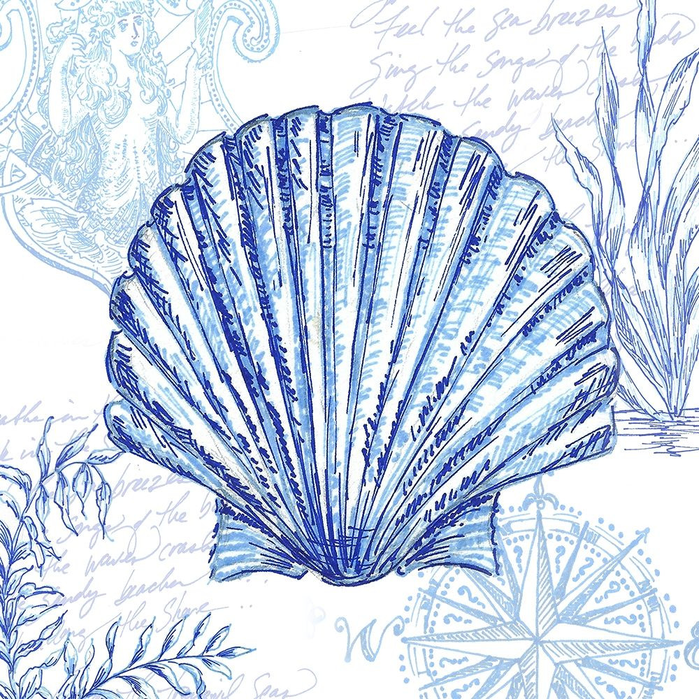 Coastal Sketchbook-Scallop Poster Print by Tre Sorelle Studios Tre ...