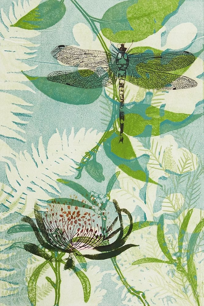 The Elusive Dragonfly and Waratah Poster Print by Trudy Rice # R1370D ...