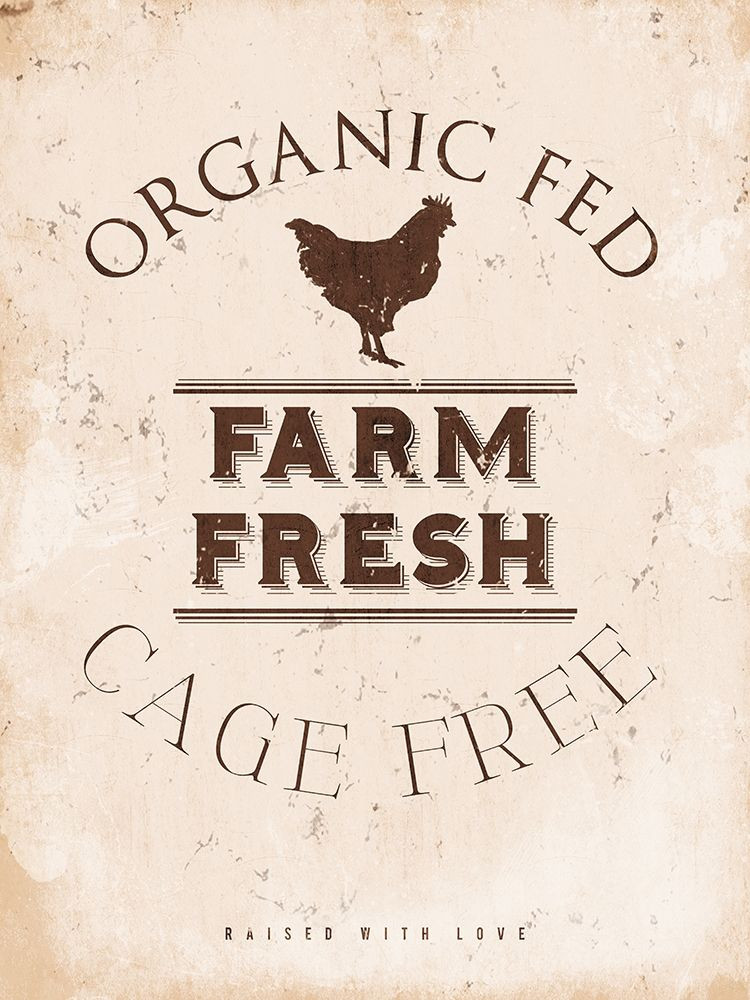 Farm Fresh Chicken Poster Print by Milli Villa # MVRC622A - Posterazzi