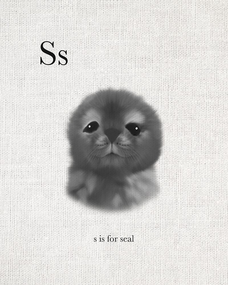 S is for Seal Poster Print by Leah Straatsma # LSRC047S - Posterazzi