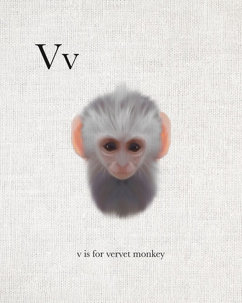 V is for Vervet Monkey Poster Print by Leah Straatsma # LSRC047V ...
