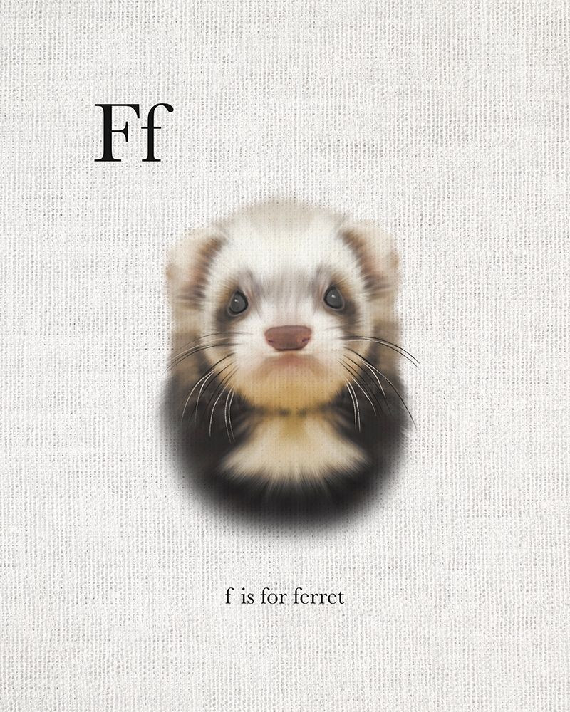 F is for Ferret Poster Print by Leah Straatsma # LSRC047F - Posterazzi